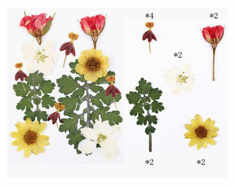 12 In 1 Pressed Flower – Bina's Art - Resin Store