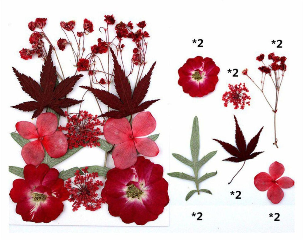 12 In 1 Pressed Flower – Bina's Art - Resin Store