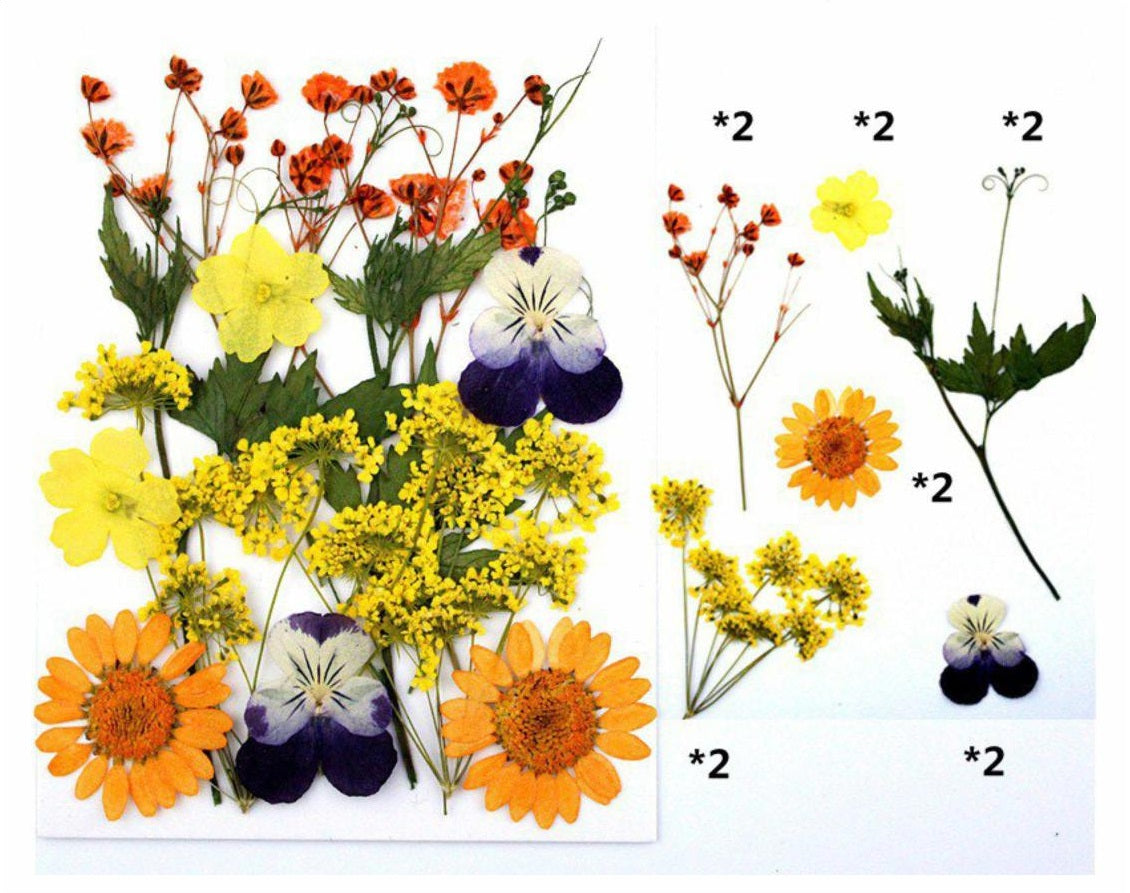 12 In 1 Pressed Flower – Bina's Art - Resin Store