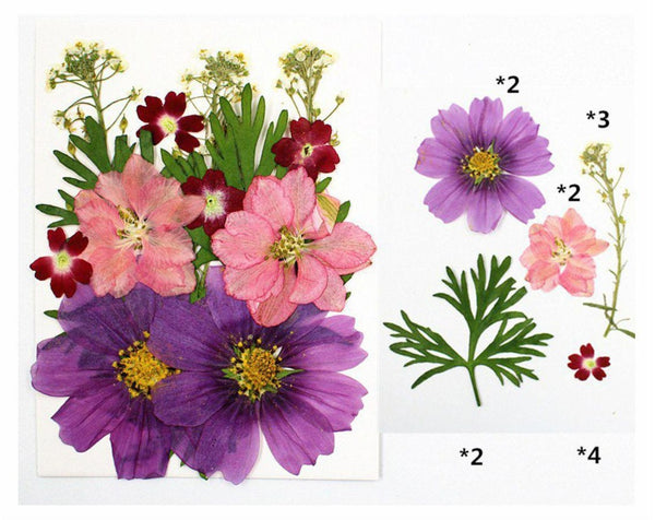 15 In 1 Pressed Flower – Bina's Art - Resin Store