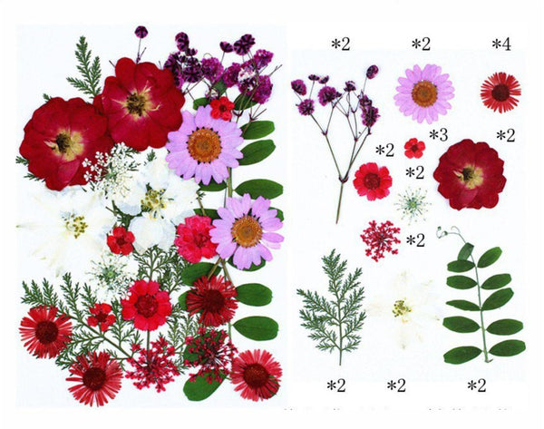 25 In 1 Pressed Flower – Bina's Art - Resin Store