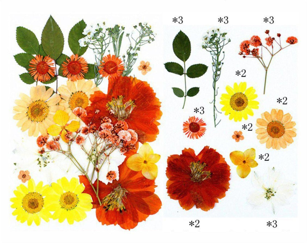 25 In 1 Pressed Flower – Bina's Art - Resin Store