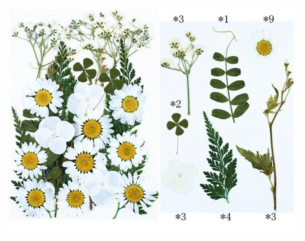 25 In 1 Pressed Flower – Bina's Art - Resin Store