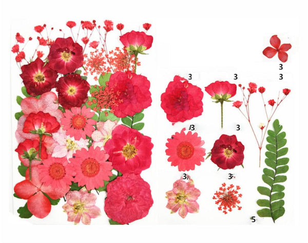 29 In 1 Pressed Flower – Bina's Art - Resin Store