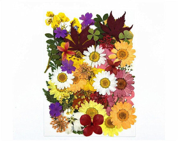 50 In 1 Pressed Flower – Bina's Art - Resin Store
