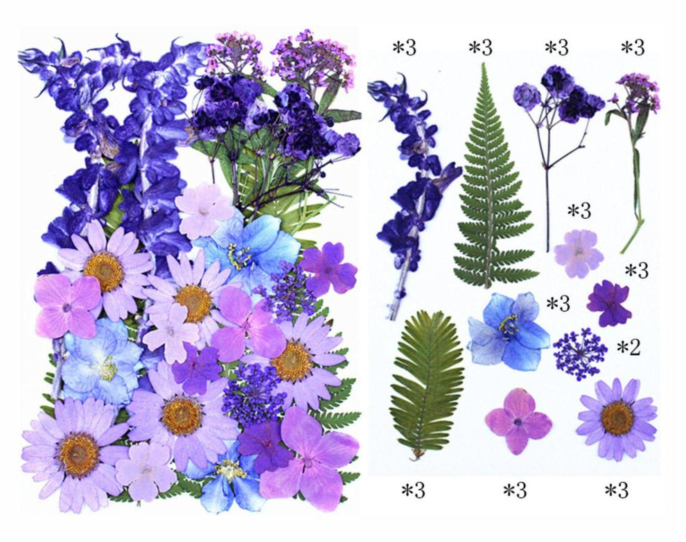 32 In 1 Pressed Flower – Bina's Art - Resin Store