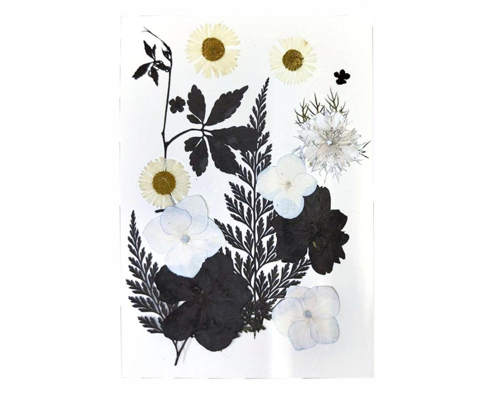 18 In 1 Pressed Flower – Bina's Art - Resin Store