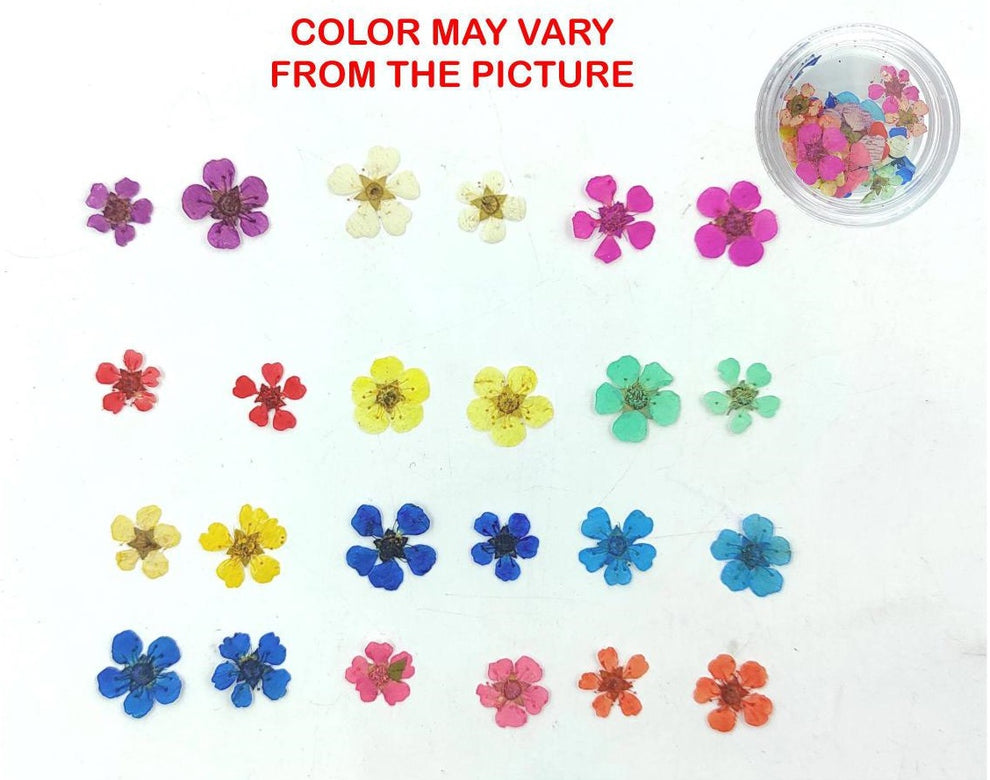 24 Pcs Multi Plum Blossom Pressed Flower – Bina's Art - Resin Store