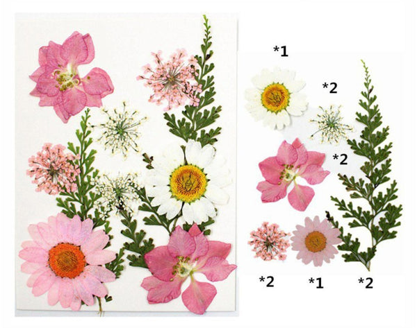 10 In 1 Pressed Flower – Bina's Art - Resin Store