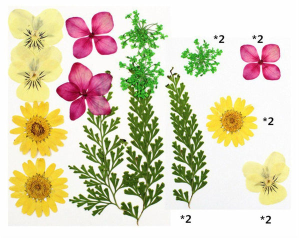 10 In 1 Pressed Flower – Bina's Art - Resin Store