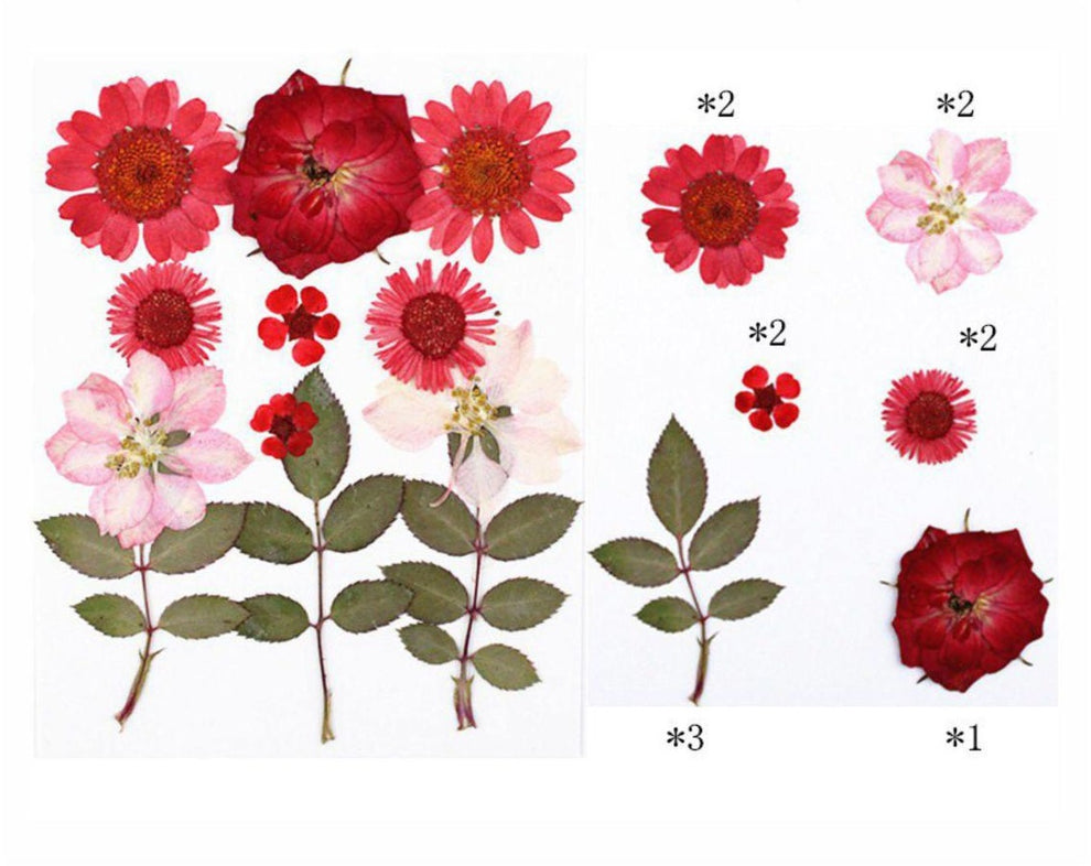 12 In 1 Pressed Flower – Bina's Art - Resin Store