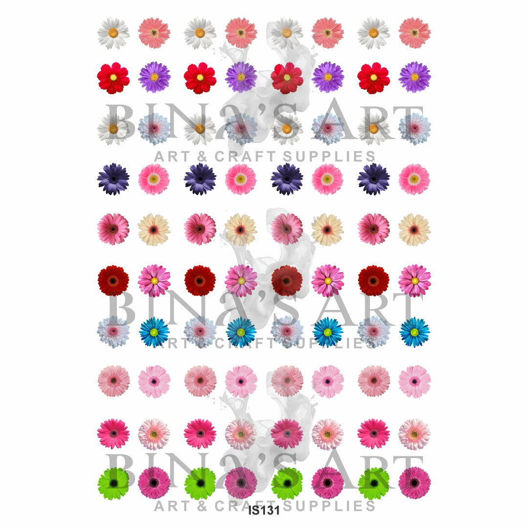 Daisy Flower Designs Insert Sheet (Transparent Sheet) – Bina's Art ...