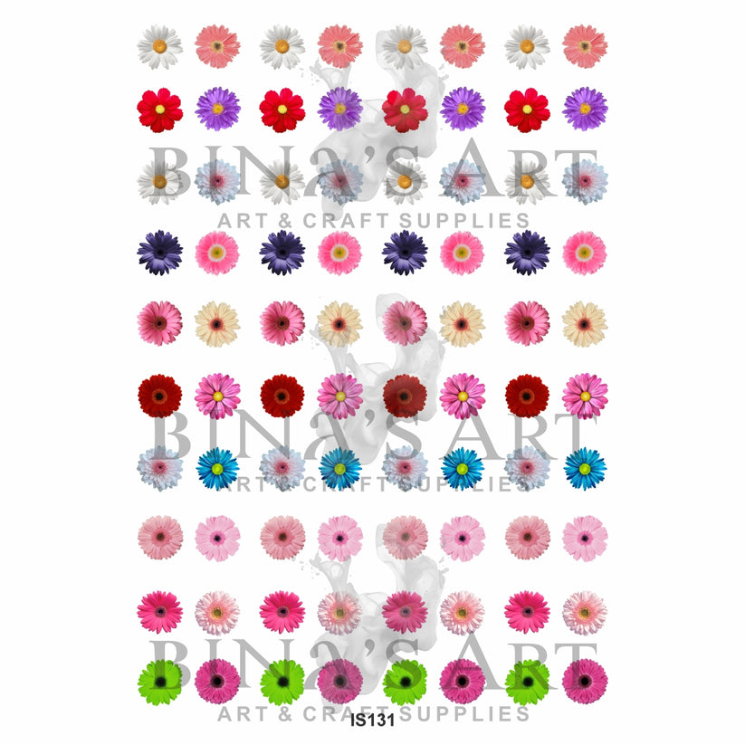 Daisy Flower Designs Insert Sheet (Transparent Sheet) – Bina's Art ...