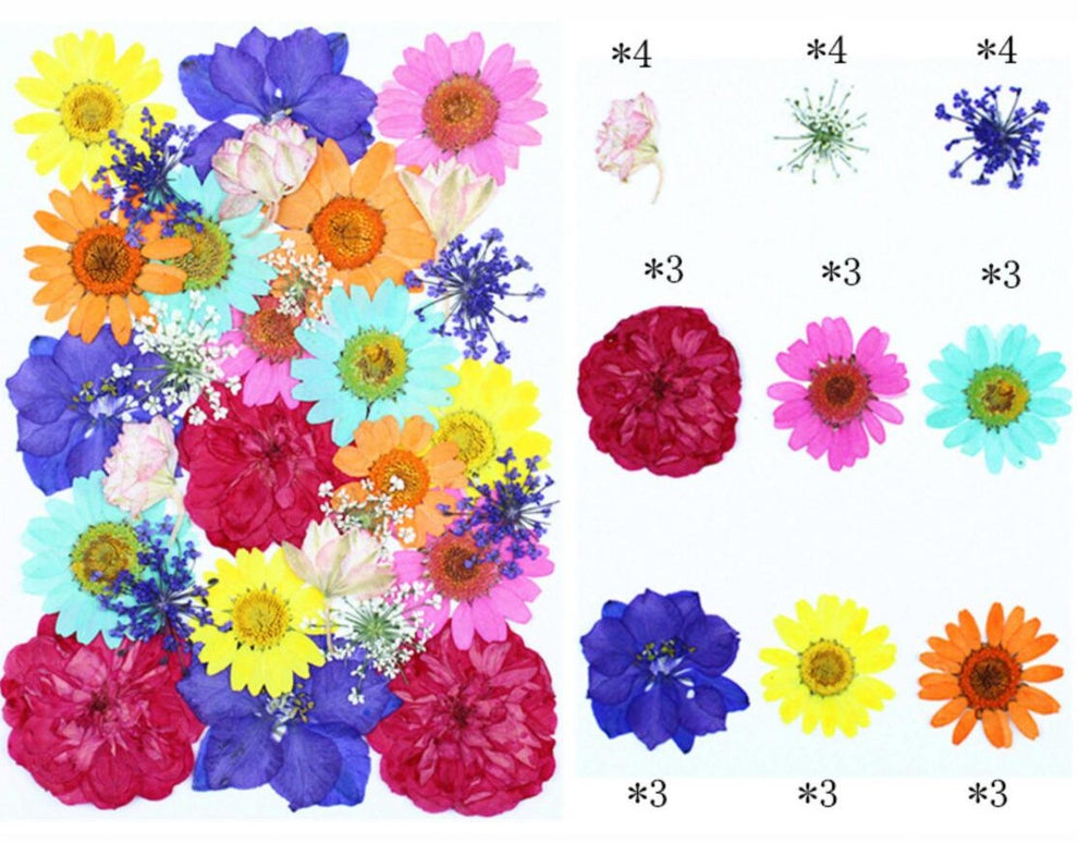 30 IN 1 Pressed Flower – Bina's Art - Resin Store