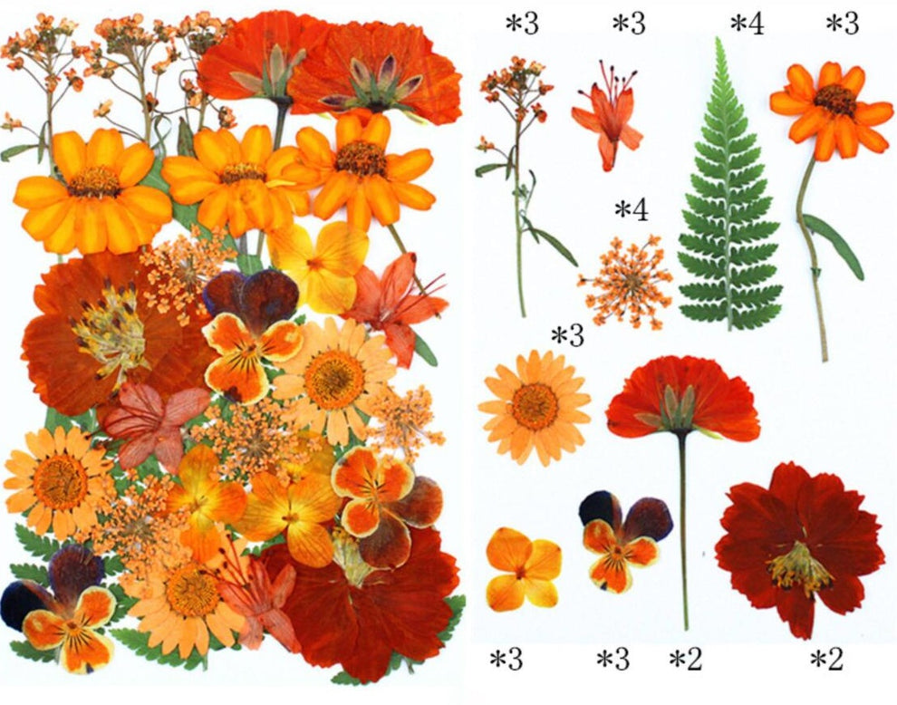 30 IN 1 Pressed Flower – Bina's Art - Resin Store