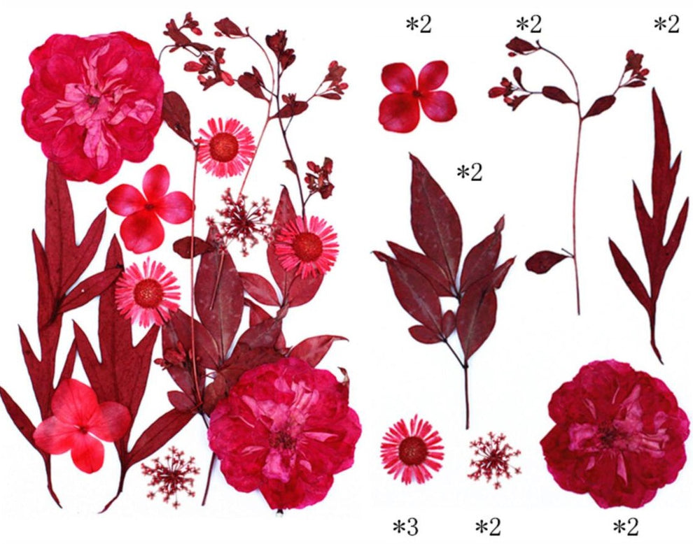15 IN 1 Pressed Flower – Bina's Art - Resin Store