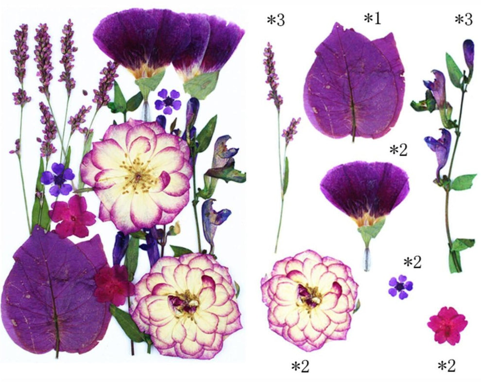 15 IN 1 Pressed Flower – Bina's Art - Resin Store